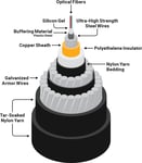 Submarine Cable FAQs