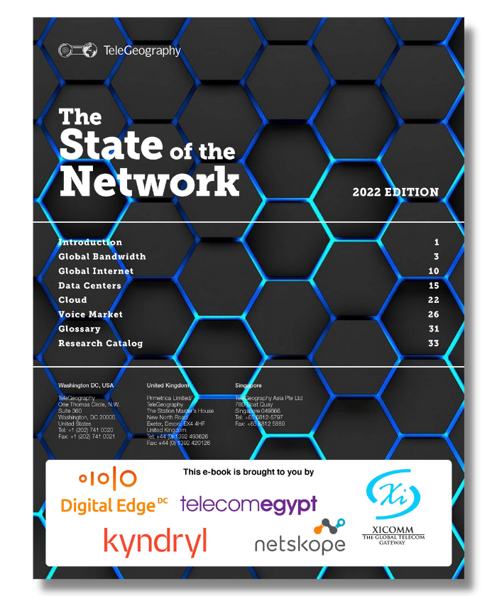Download TeleGeography's State of the Network